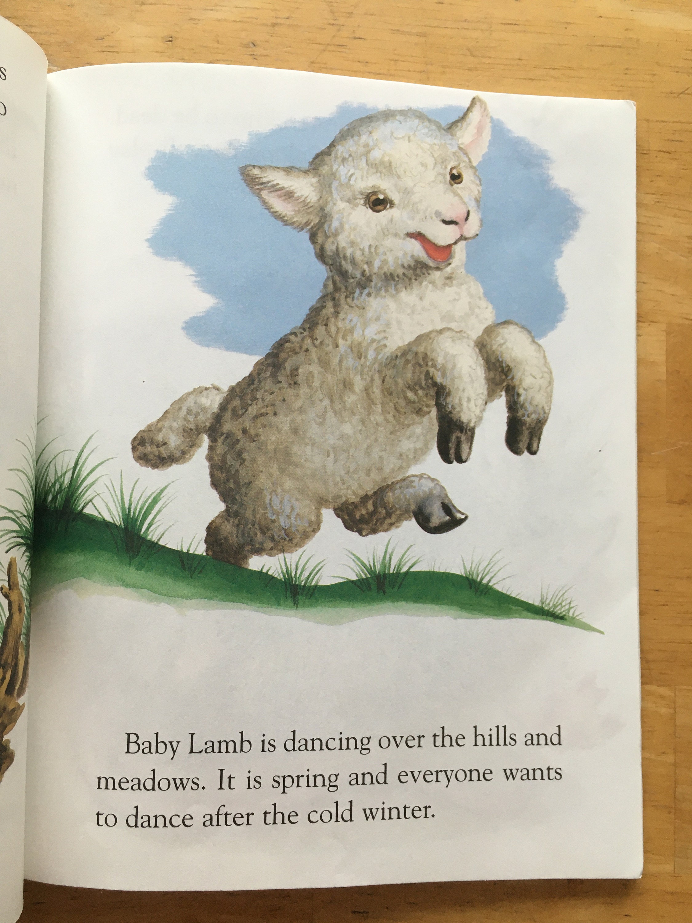 Baby Animals (a Little Golden Book Classic) - Etsy