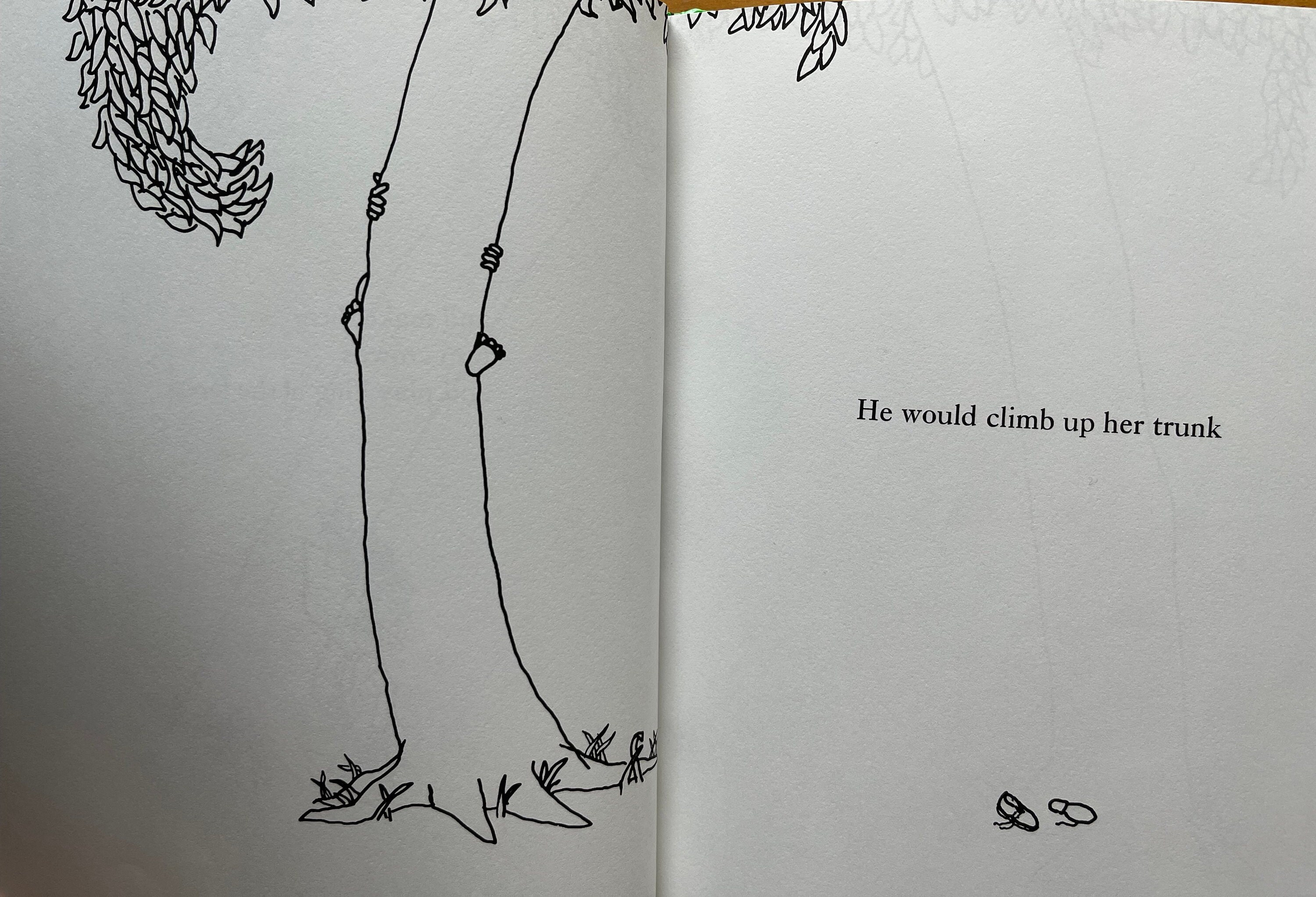 The Giving Tree Book Quotes