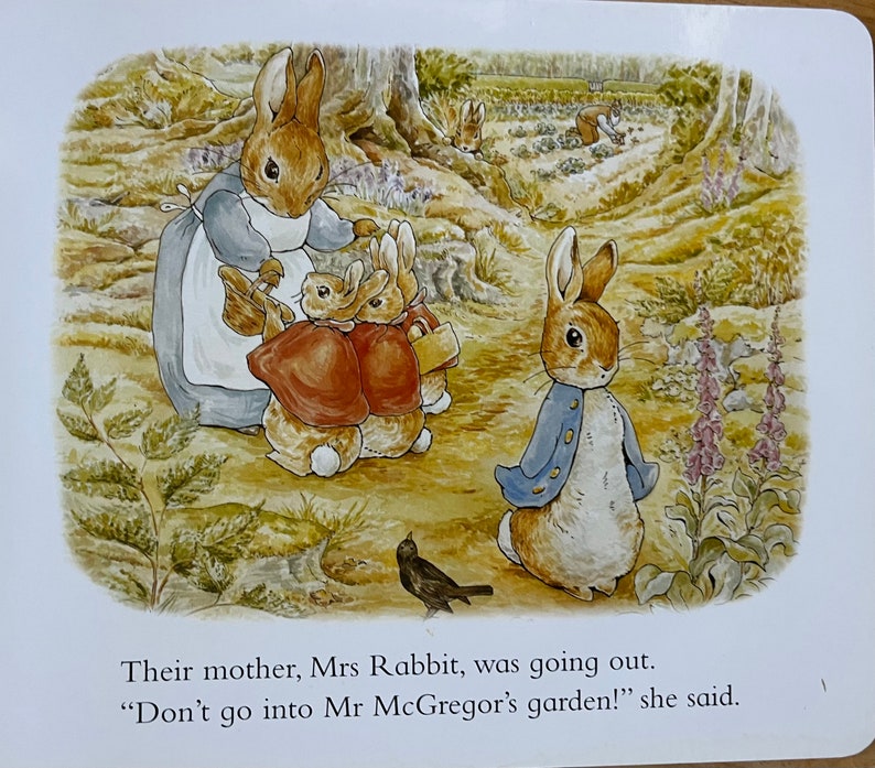 The Tale of Peter Rabbit A Story Board Book - Etsy