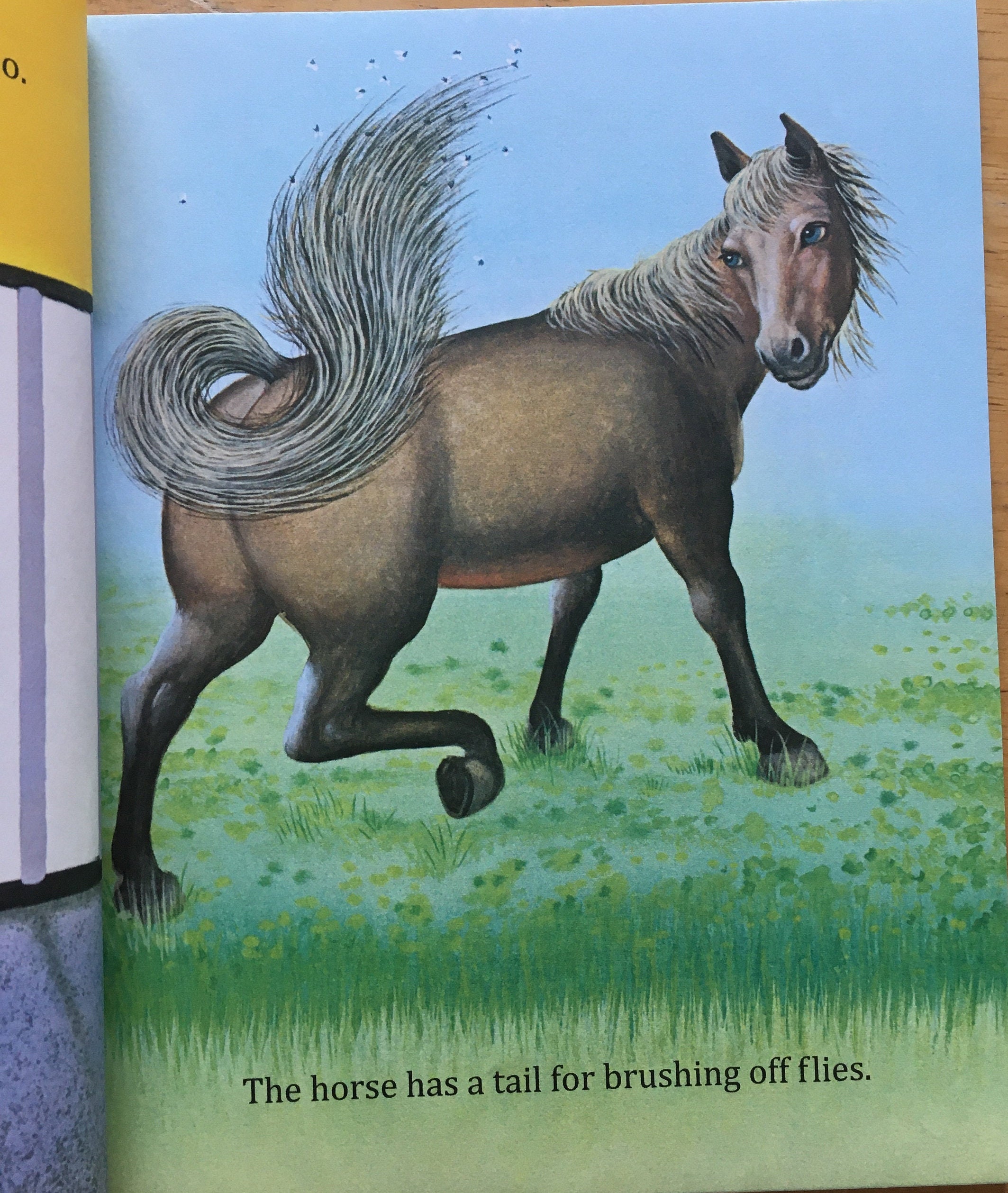A Tale of Tails a Little Golden Book Classic - Etsy
