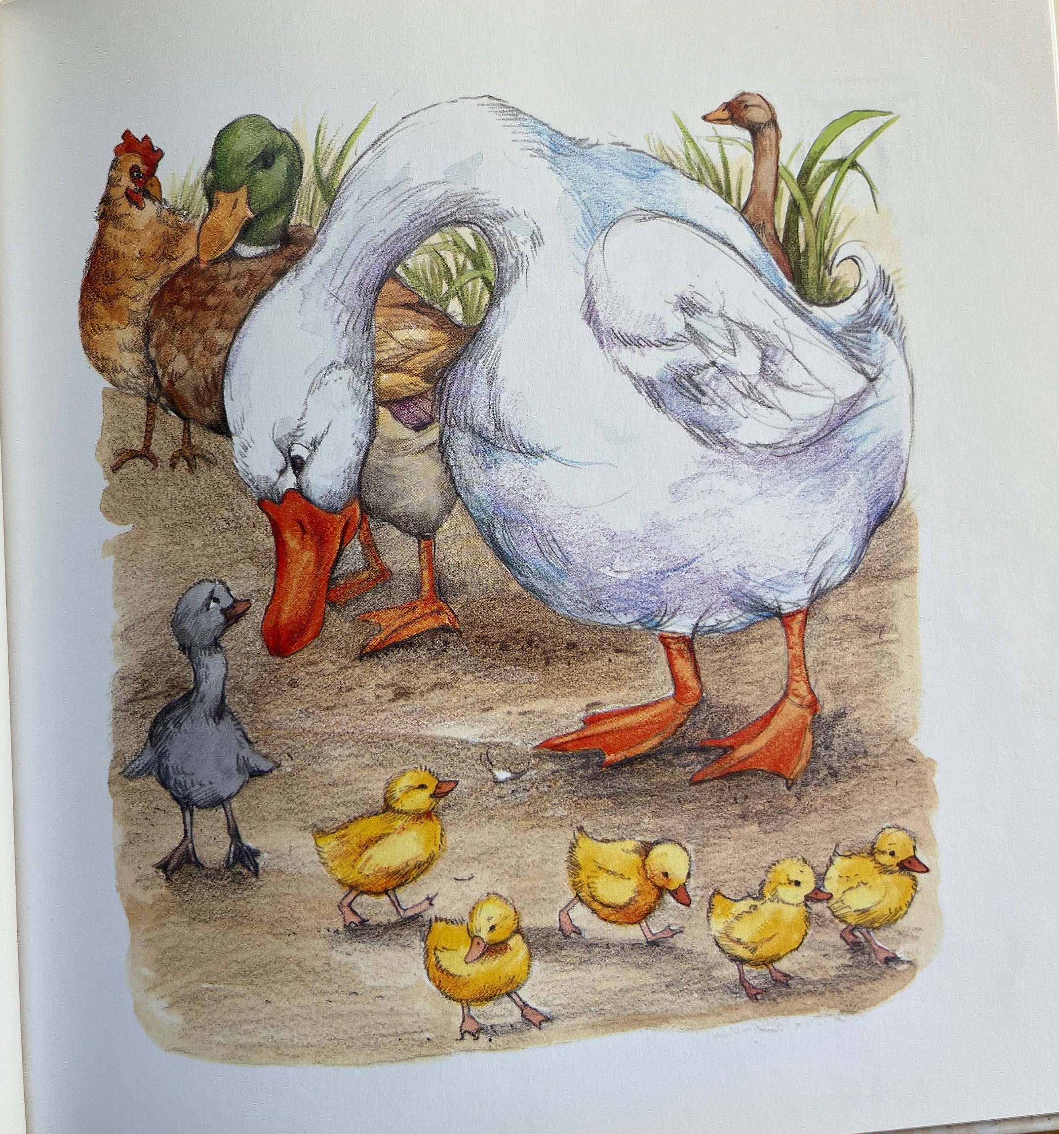 The Ugly Duckling (hardcover) - Etsy
