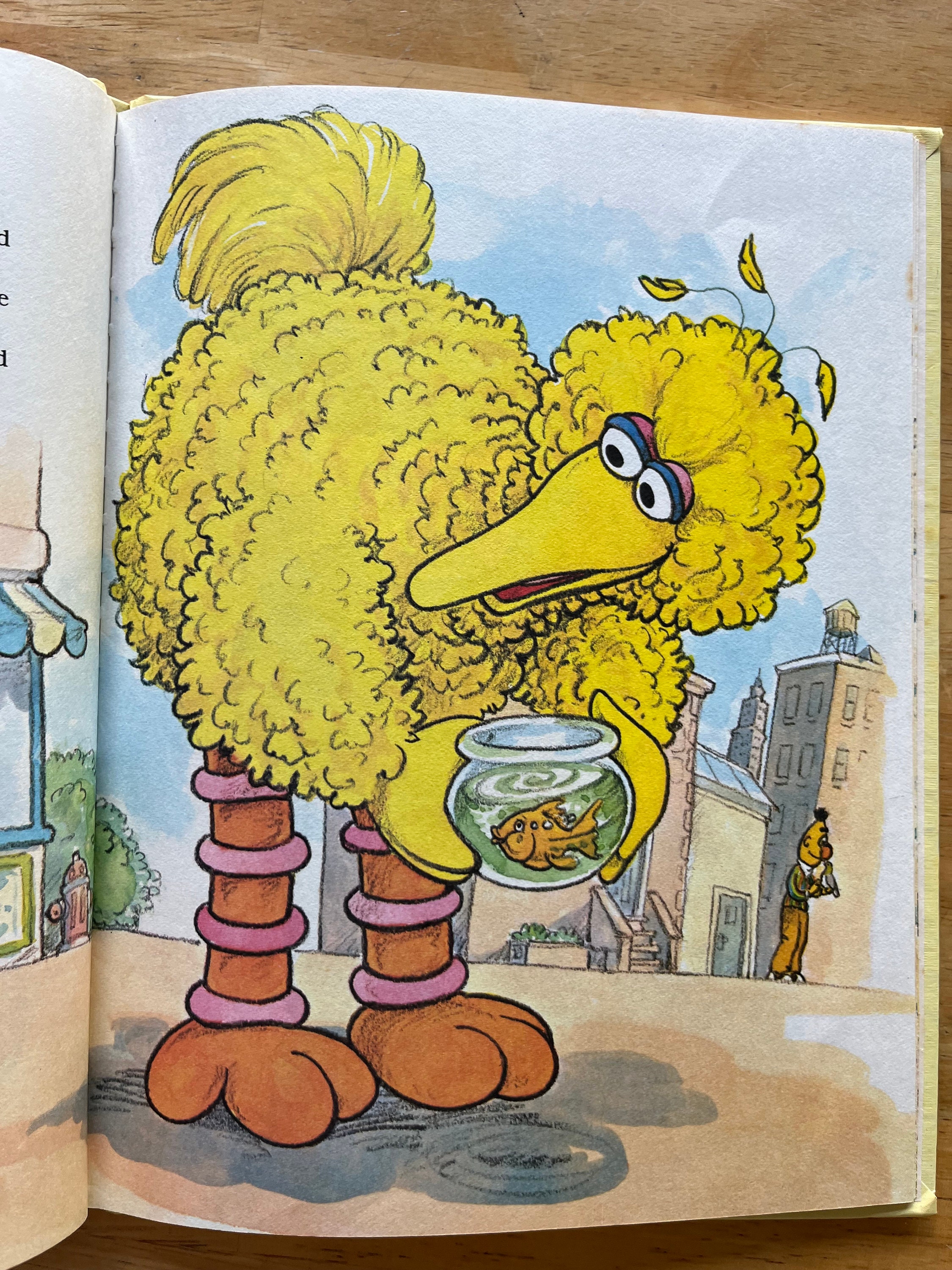 The Sesame Street Pet Show (hardcover) - Etsy