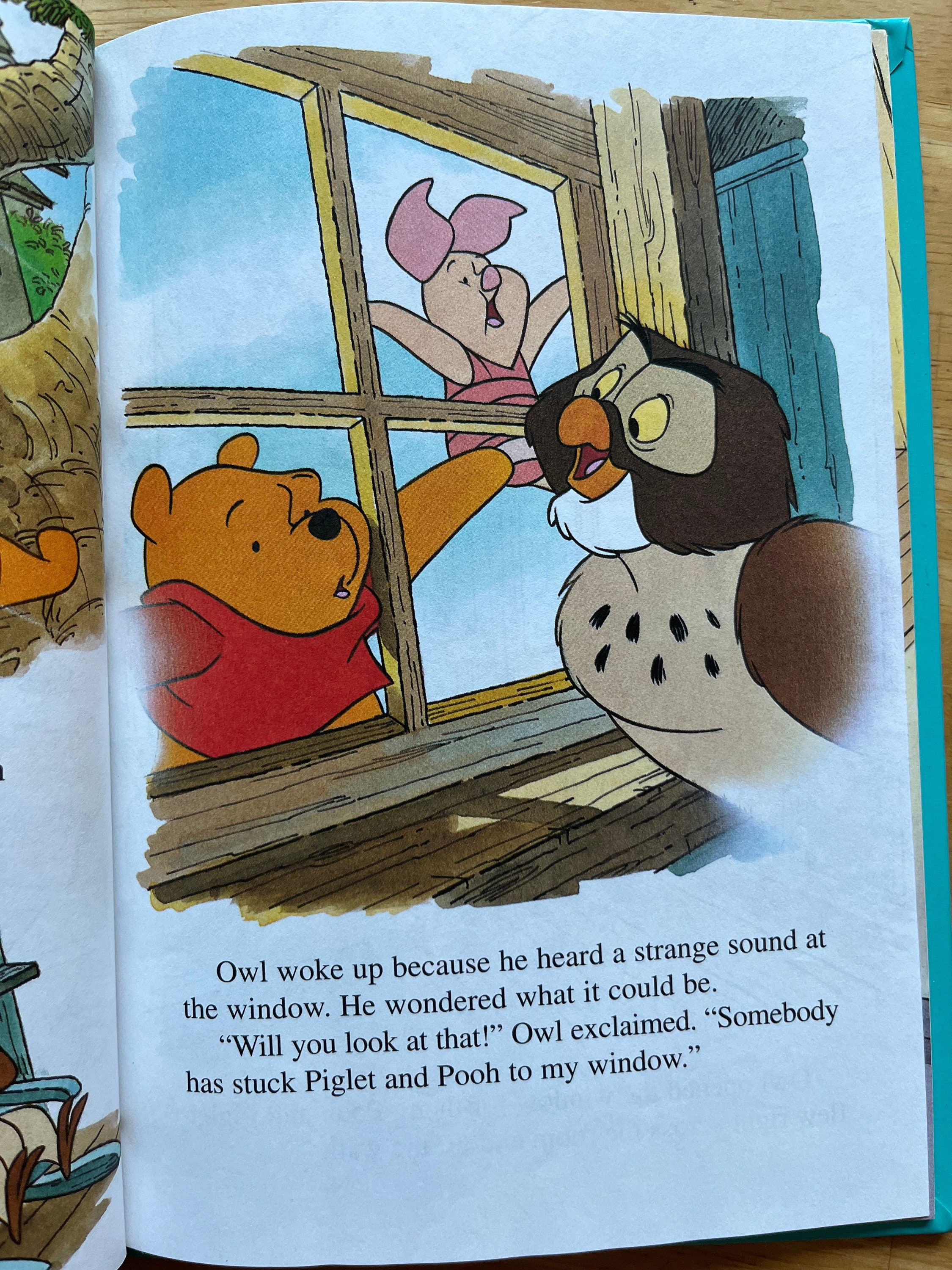 Disney's Winnie the Pooh and the Windy Day (hardcover) - Etsy