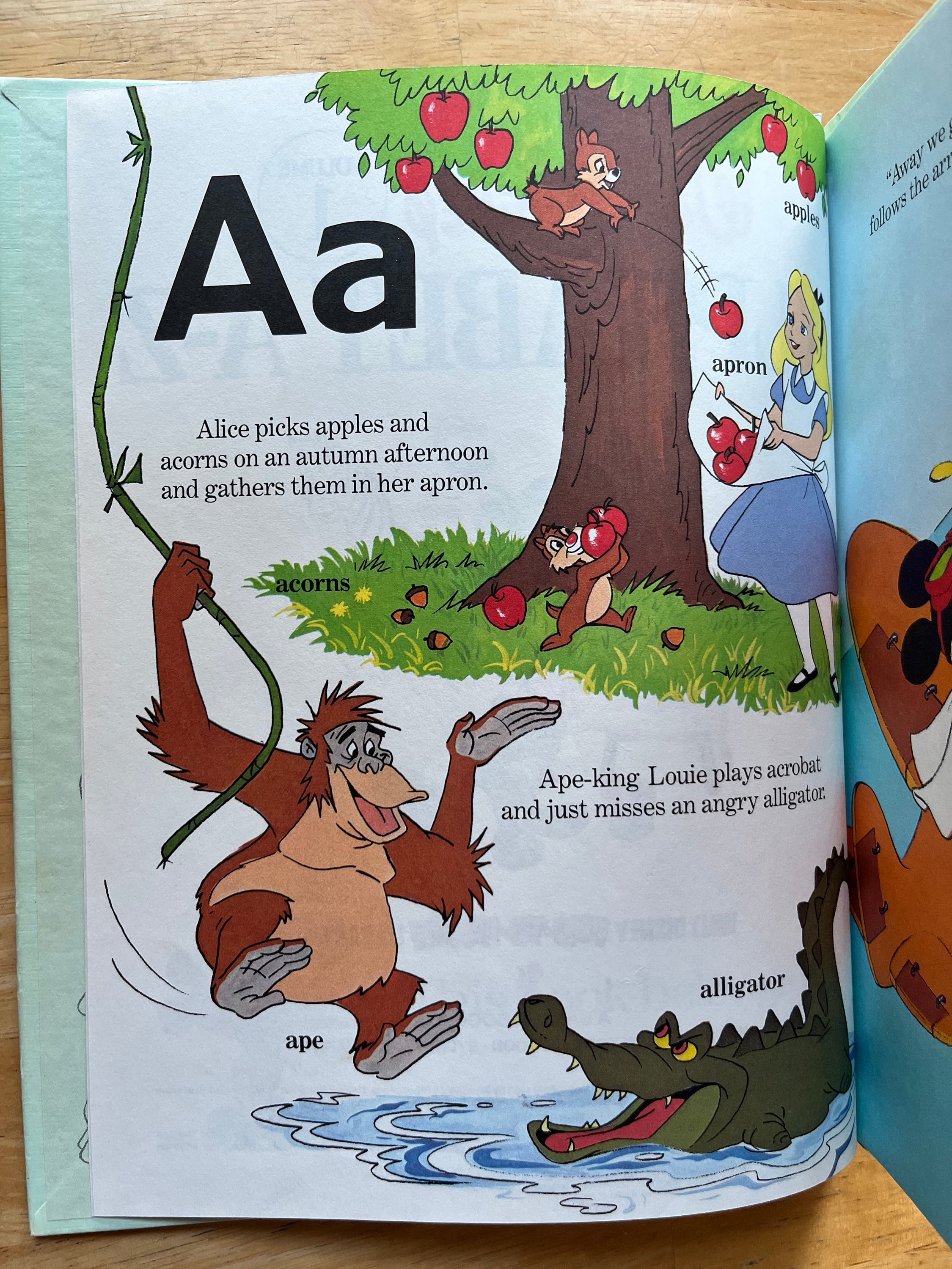 Walt Disney Alphabet A-Z (volume 1, Hardcover) - Etsy