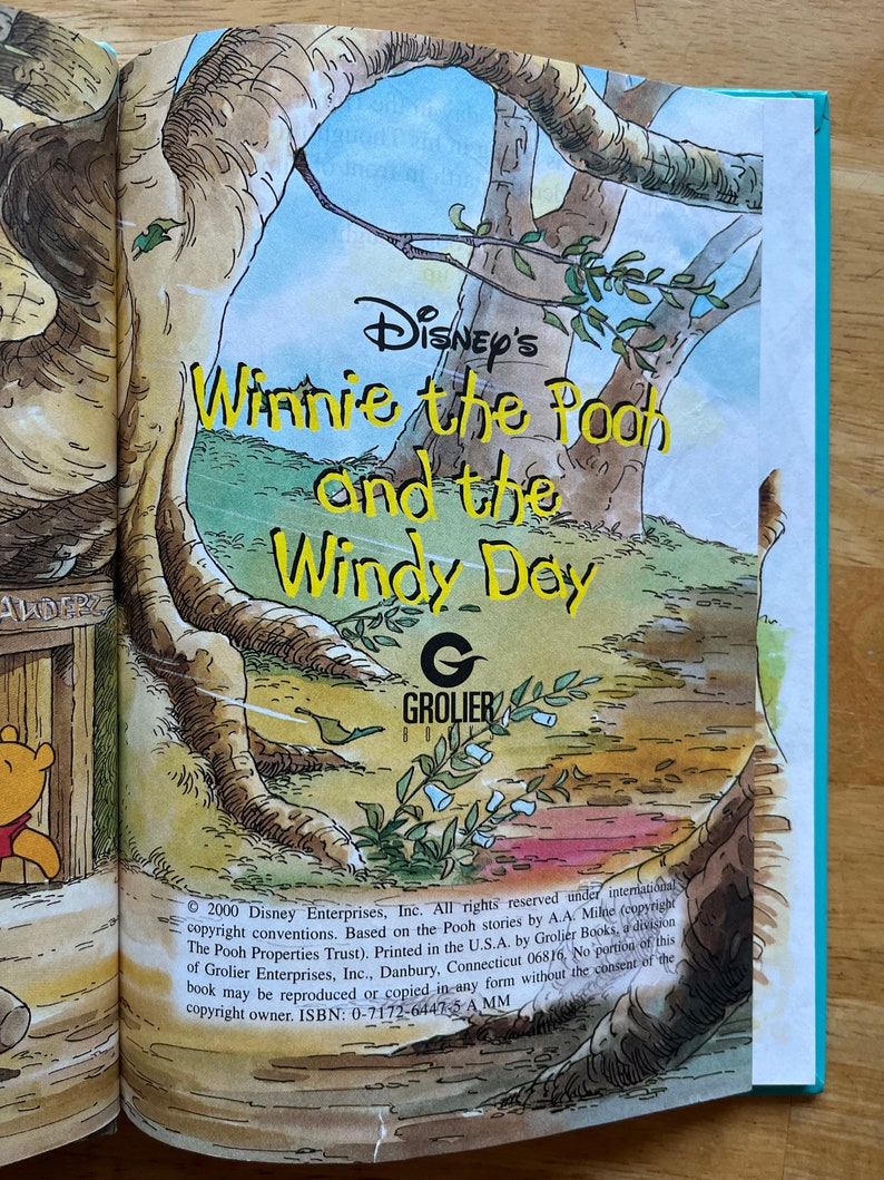 Disney's Winnie the Pooh and the Windy Day (hardcover) - Etsy