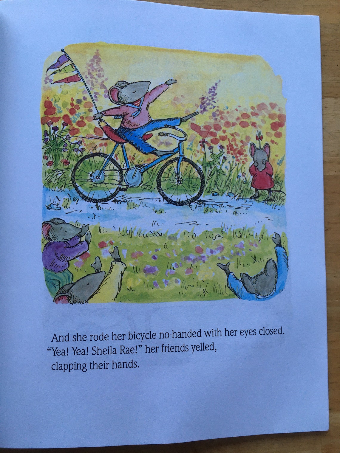 Sheila Rae, the Brave by Kevin Henkes scholastic - Etsy