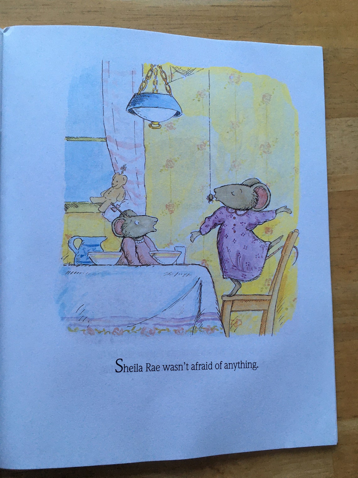 Sheila Rae, the Brave by Kevin Henkes scholastic - Etsy