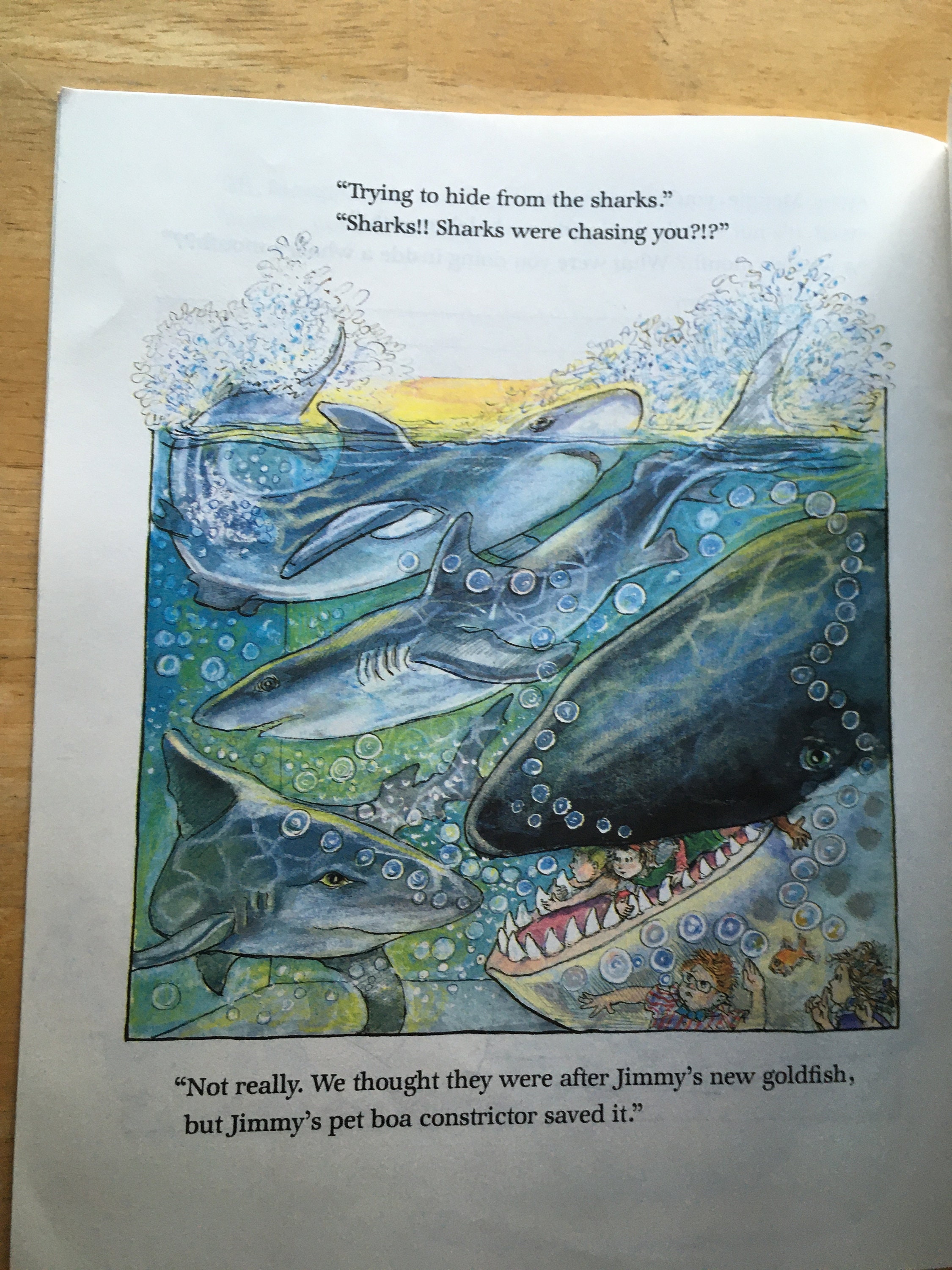 Jimmy's Boa and the Big Splash Birthday Bash - Etsy