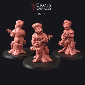 Catmen Folk Bard Catmen Monk Catmen Shaman Catmen Druid 3D Print for ...