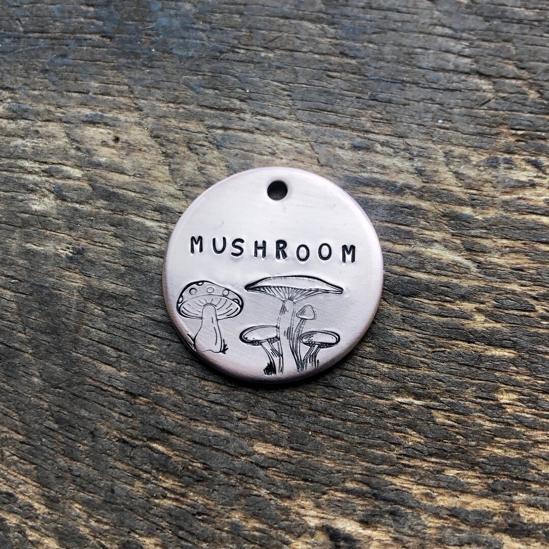 Fungus Amongus Handstamped Metal Pet ID Tag Dog Cat Horse Round Hexagon ...