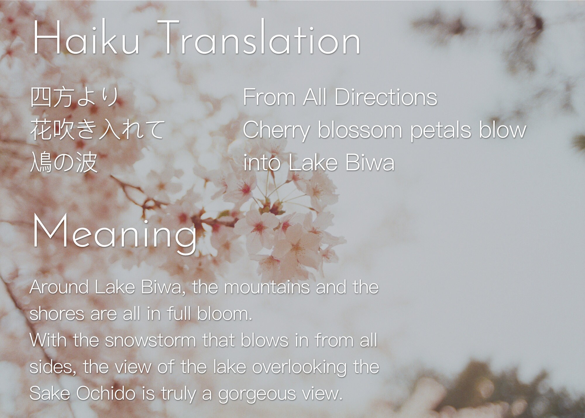 Haiku Sakura Nonbinary Shirt Enby Pride Enby T Non Etsy