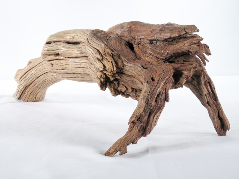 Large Manzanita Driftwood (28“), Unique Arched Branch for Beach House ...