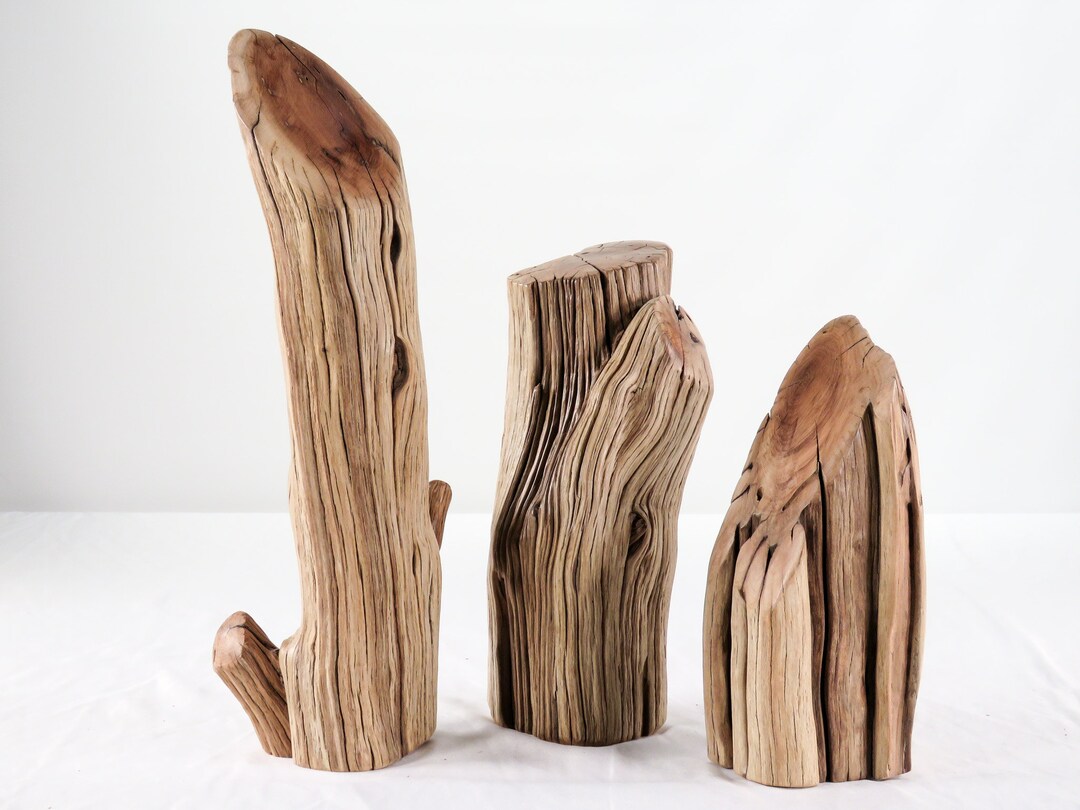 Manzanita Driftwood 3 Pc Set, These Small Smooth Logs Are Perfect for ...