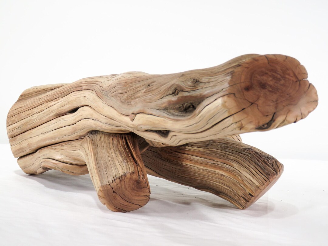 Manzanita Driftwood Log (17"), This Smooth Log is Perfect for Reptile ...
