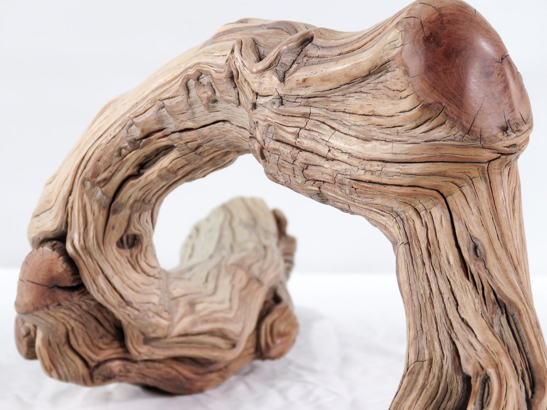 Large Manzanita Driftwood 35, This Long Bumpy Log is Perfect for ...