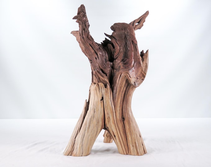 Manzanita Driftwood Root (17") Branches for Art, Home Design, or ...