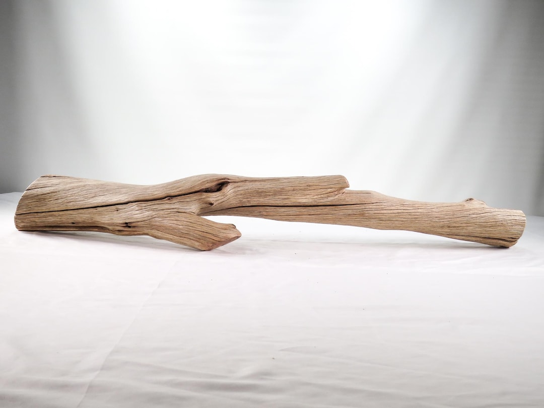 Manzanita Driftwood Log (36”) – Aquarium Decor, Terrarium Wood, Reptile ...