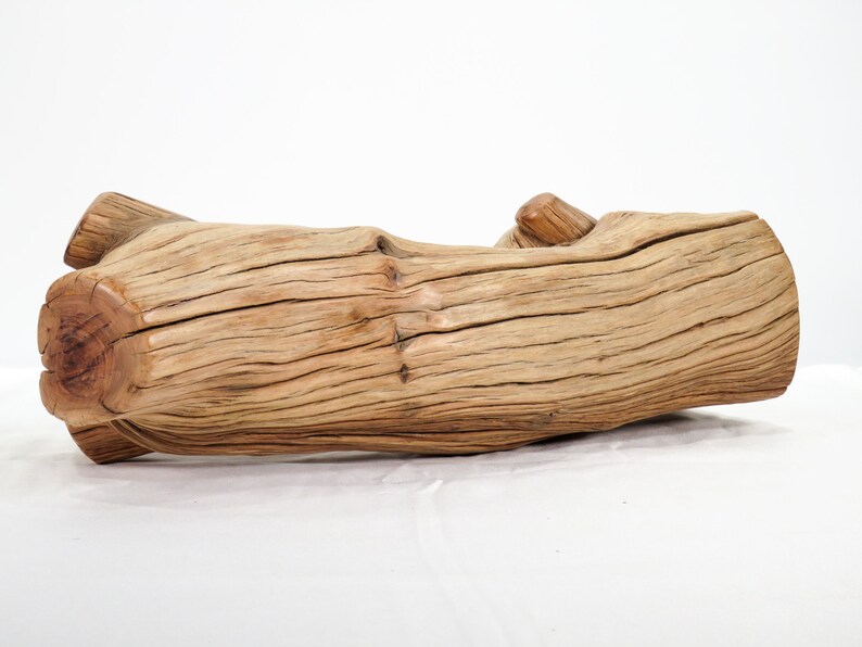 Manzanita Driftwood (13"), This Chunky Log is Perfect for Reptile ...
