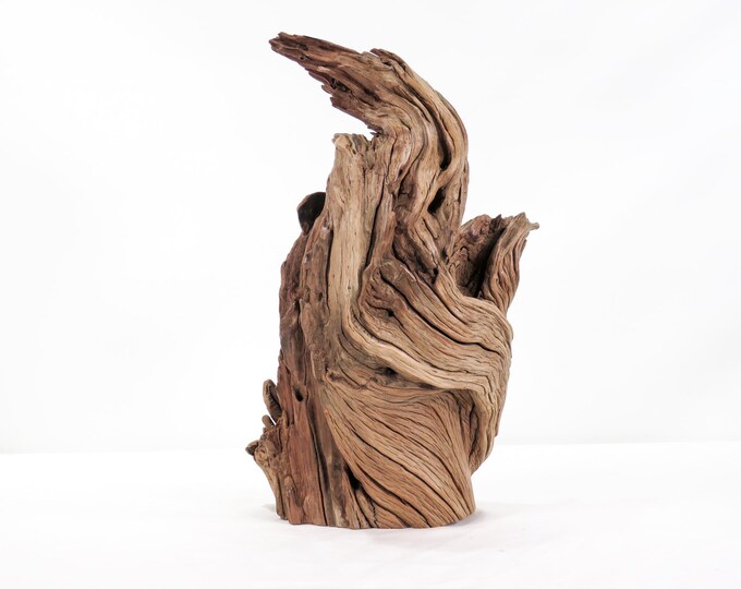 Manzanita Driftwood Root (11") Branches for Art, Home Design, or ...