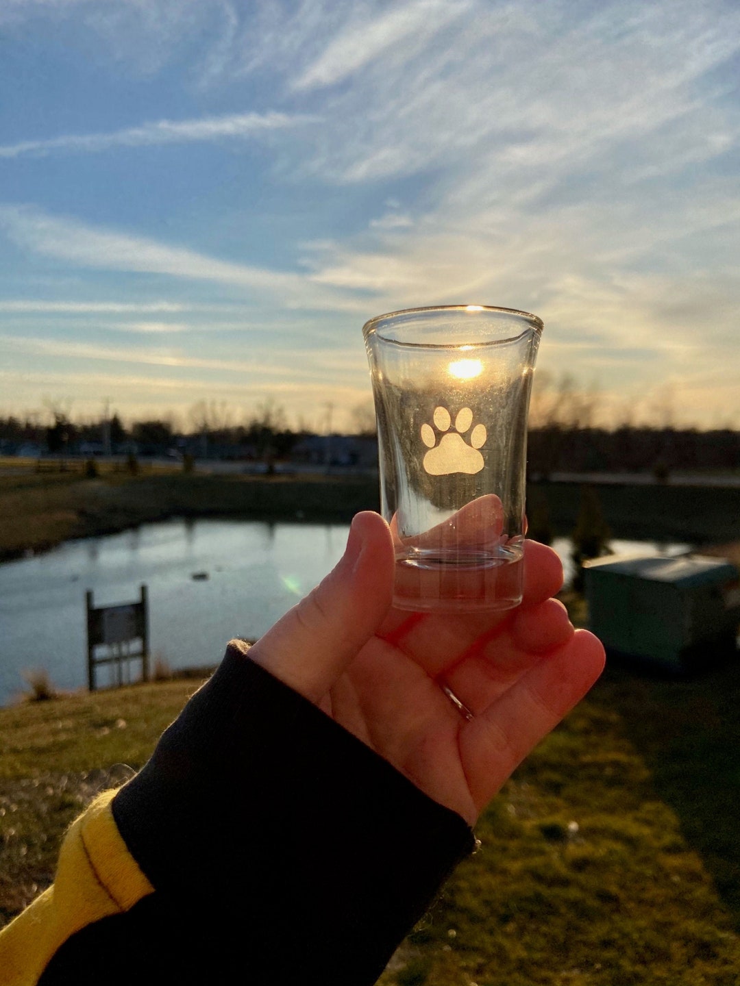 3-pack Paw Print Shot Glasses, Cheers to Pet Love Unique Alcohol ...