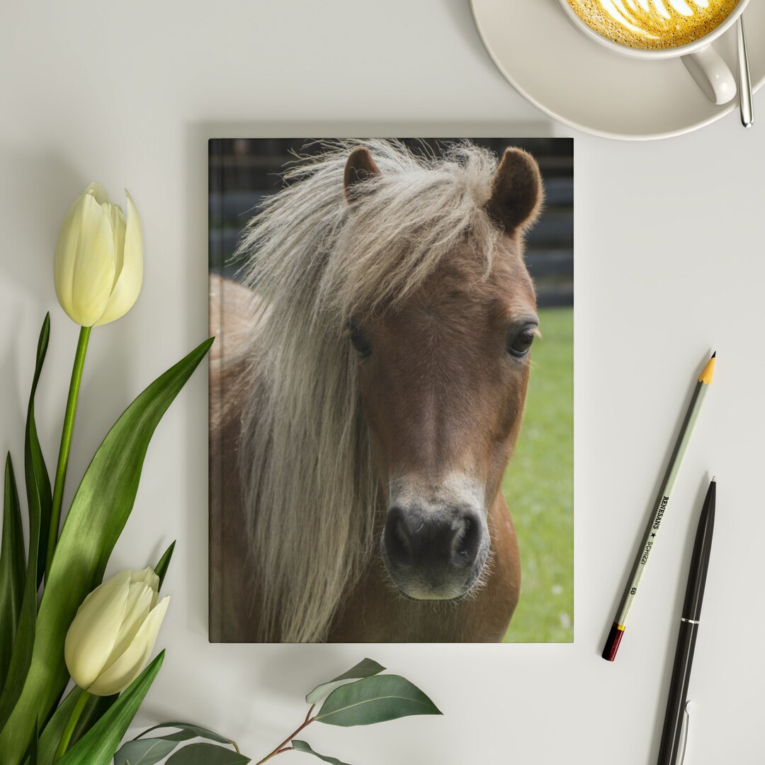 Cute Pony Journal 6x8 Cute Horse Journal for Writing Blonde Pony ...