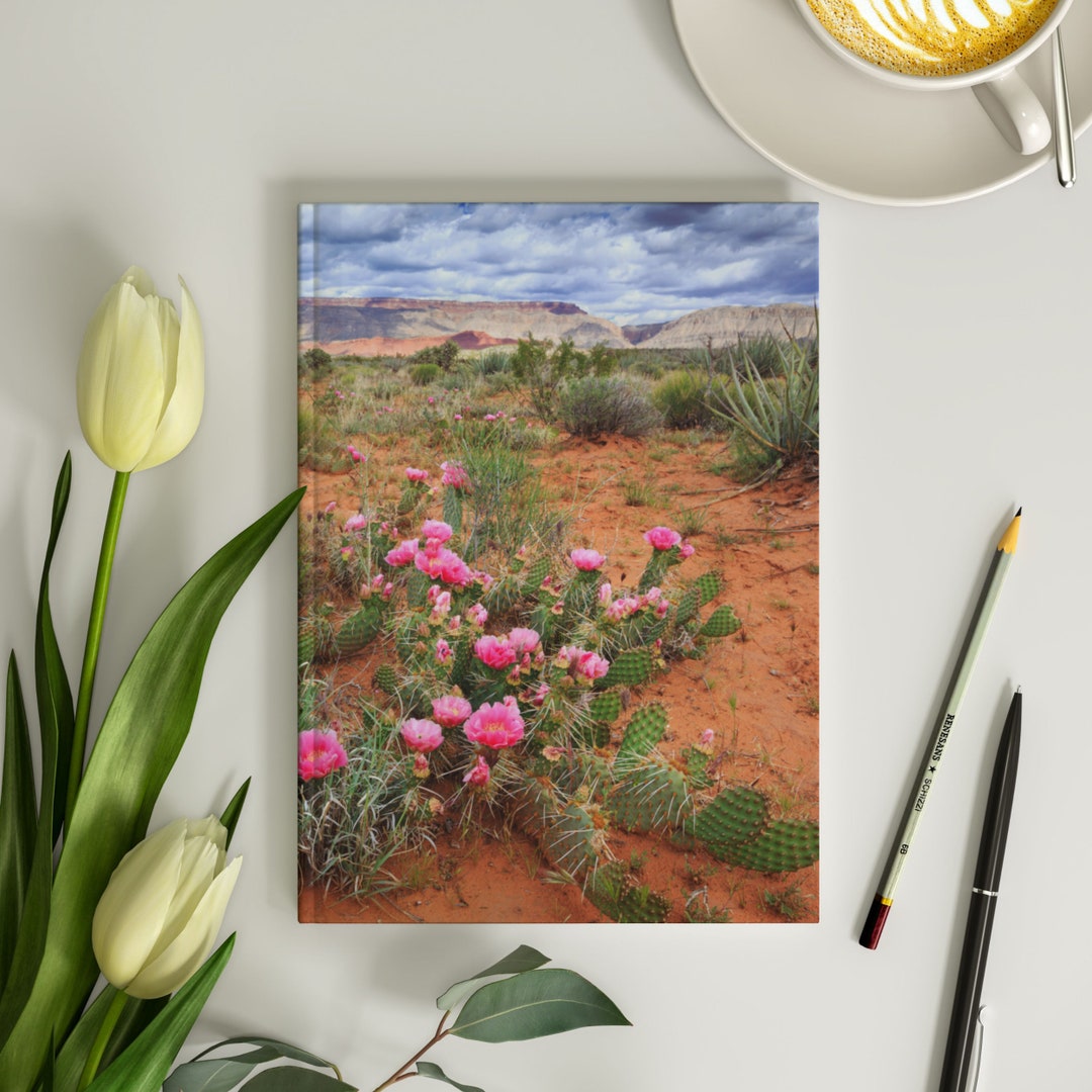 Blooming Desert Flowers Journal 6x8 Pink Cactus Flowers Notebook ...