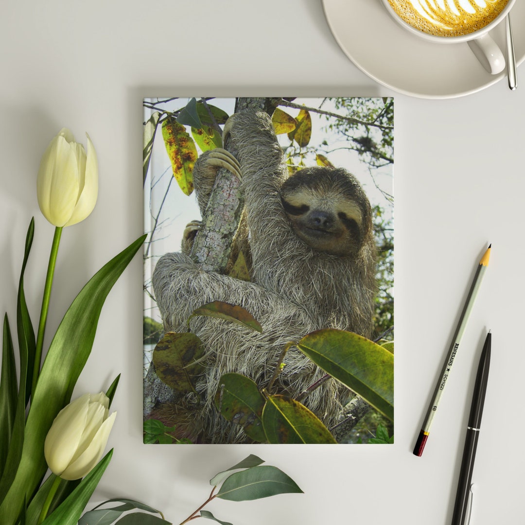 Cute Pygmy Sloth Journal 6x8 Three-toed Sloth Notebook Panama Sloth ...