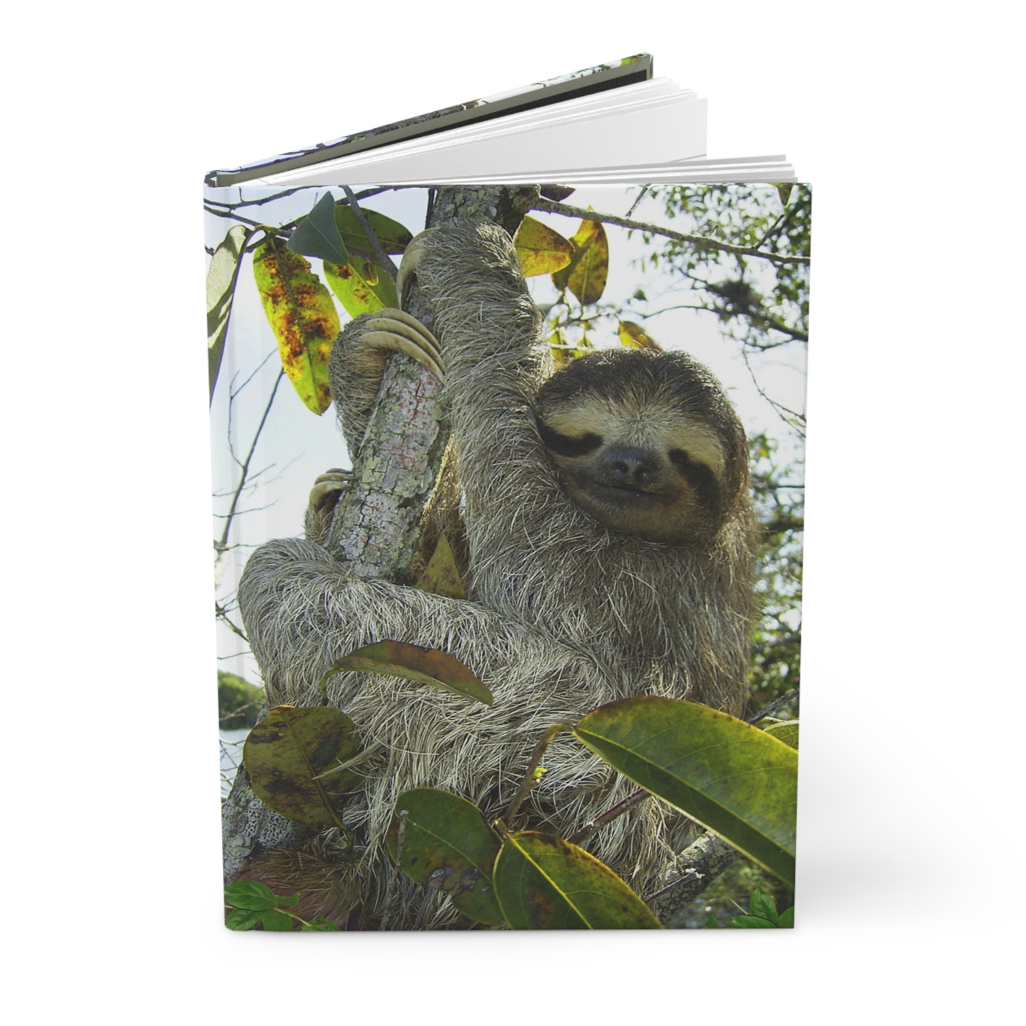 Cute Pygmy Sloth Journal 6x8 Three-toed Sloth Notebook Panama Sloth ...