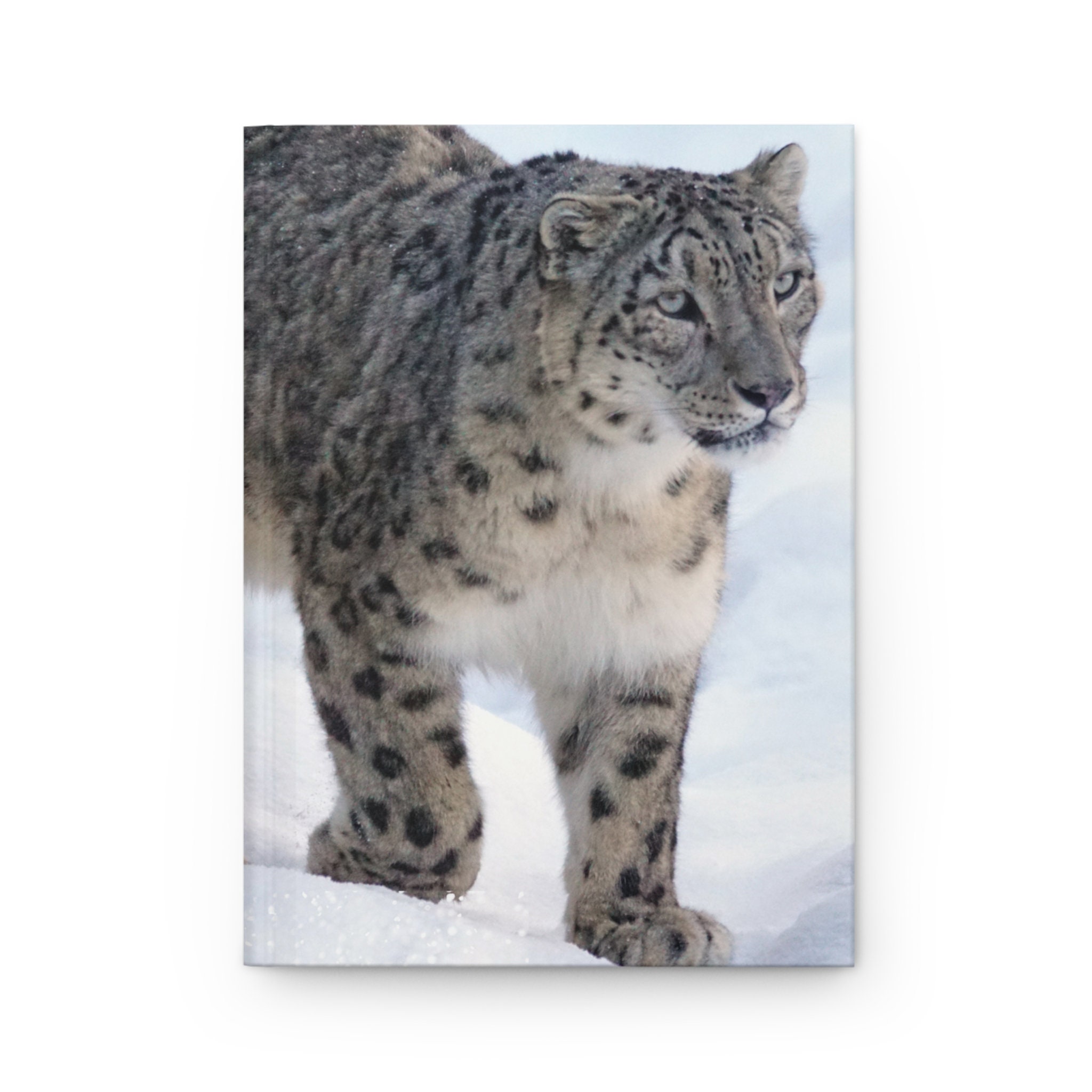 Snow Leopard Journal 6x8 Snow Leopard Notebook Big Cat Journal for ...