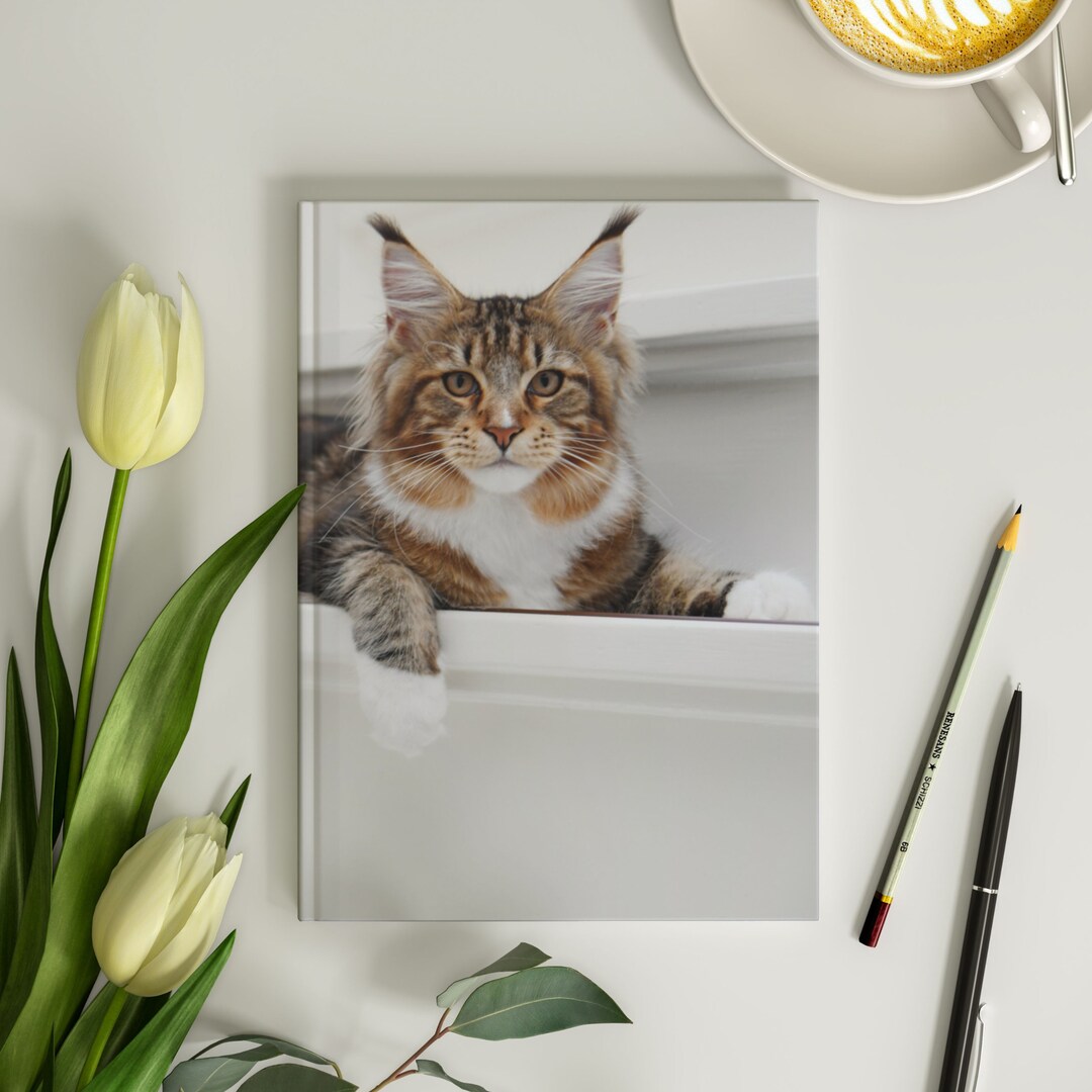 Maine Coon Kitten Journal 6x8 Maine Coon Kitten Notebook Maine Coon Cat ...