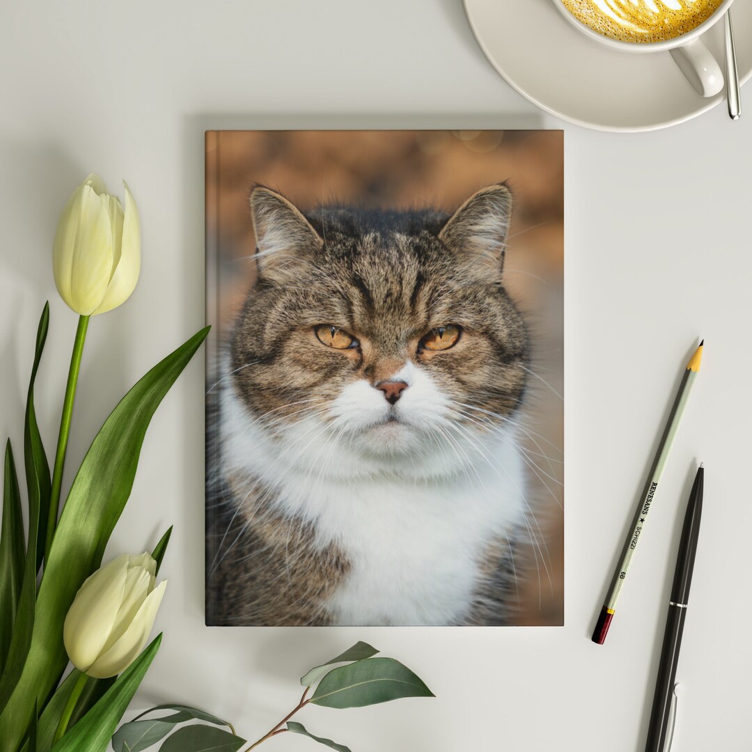 Grumpy Cat Journal 6x8 Cat Humor Notebook Funny Cat Journal Cat With ...