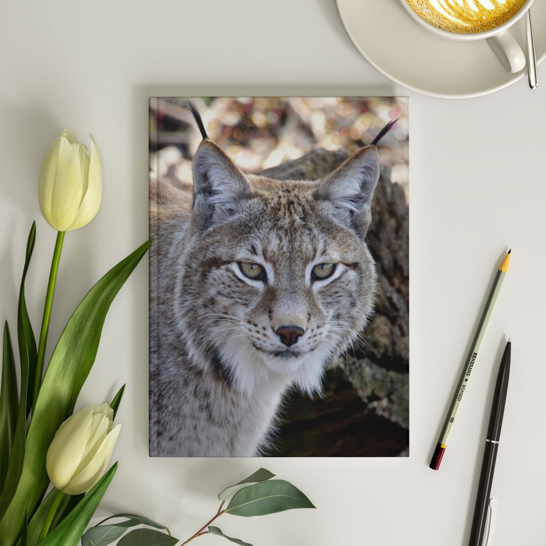 Lynx Journal 6x8 Canadian Lynx Notebook Big Wild Cat Journal for ...