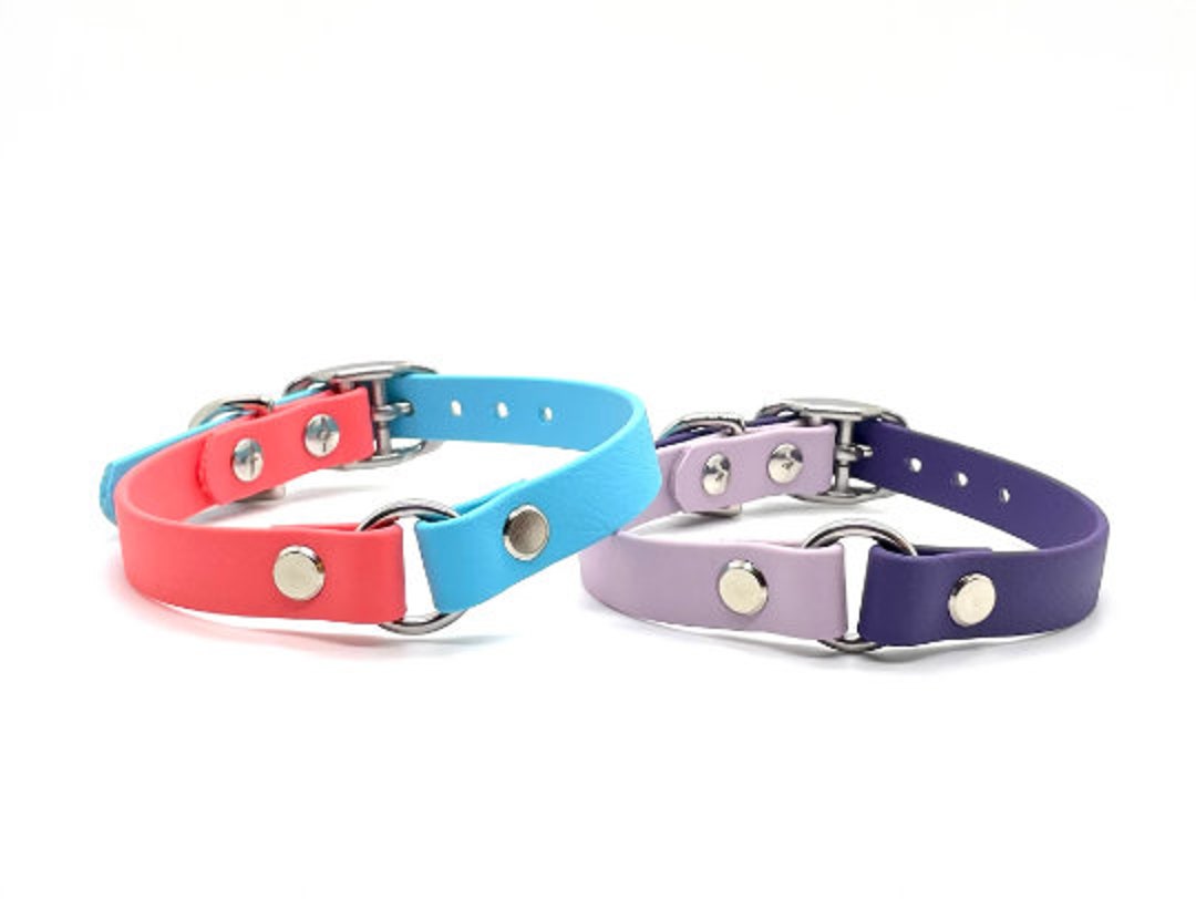 Two tone 5/8 Wide Biothane® Dog Collar With Keeper Colorful Dog Collar ...