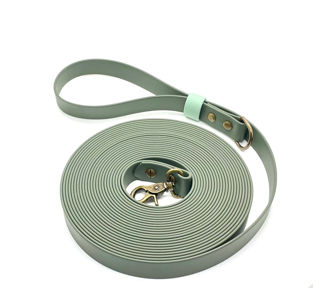 1 Wide Biothane® Long Line Customizable Loop or Flat Ended Long Lead ...