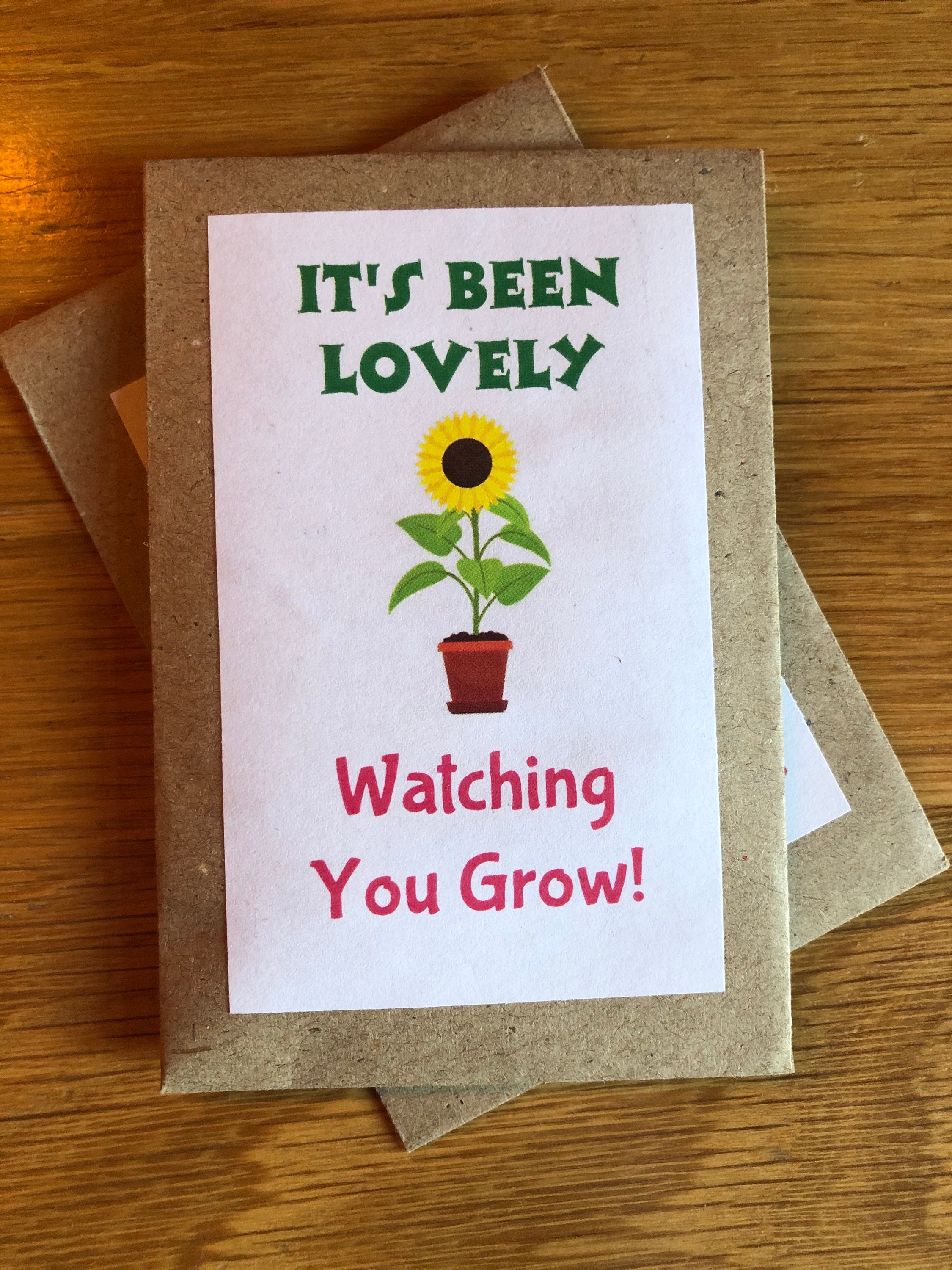 Pack of 10 End of Year Gift for Children: Sunflower Seeds - Etsy UK