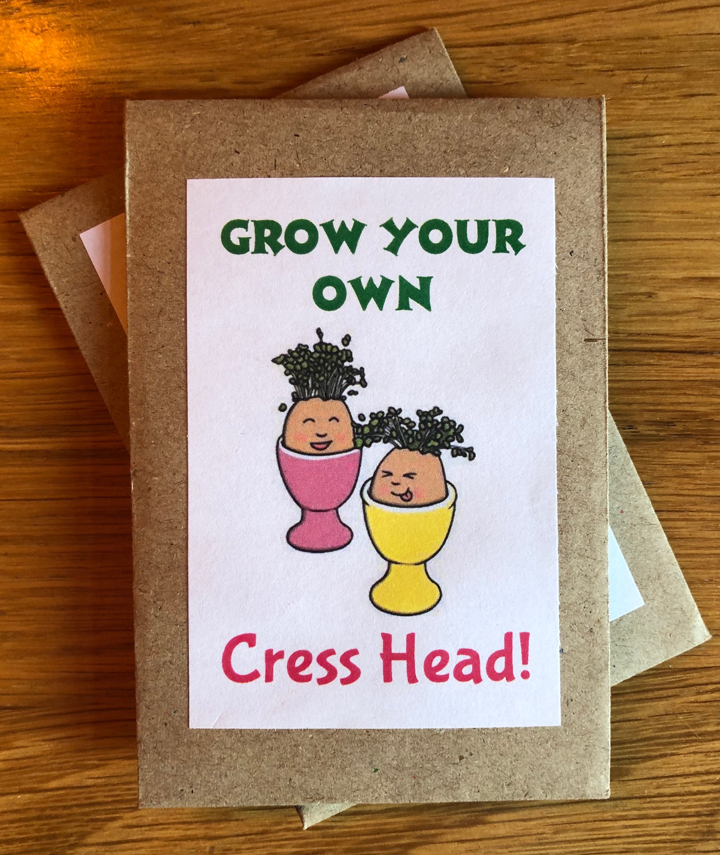 Cress Head Kit for Kids – Grow Your Own Cress Seeds - Etsy UK