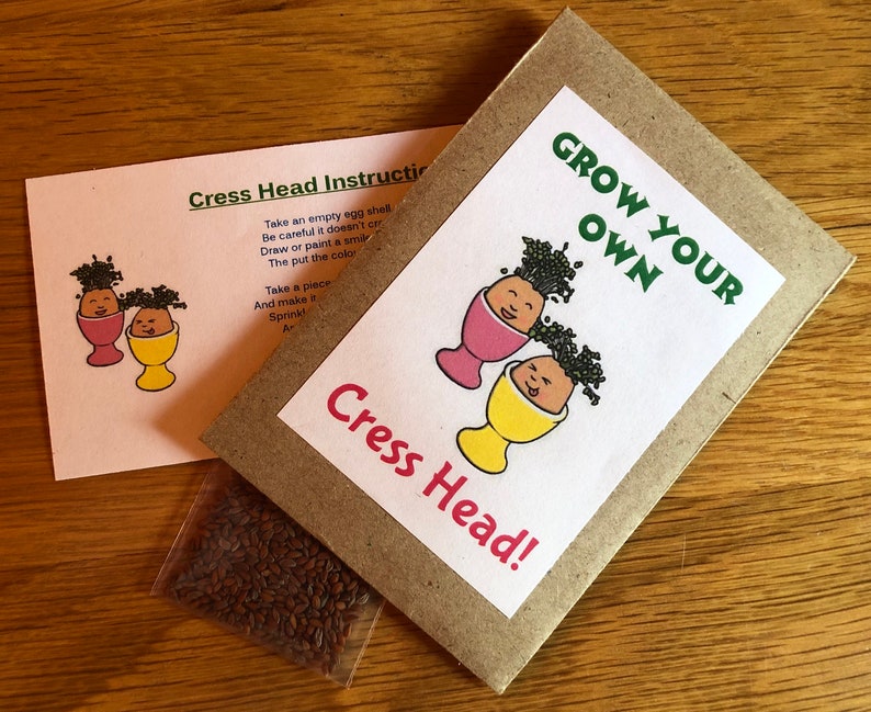 Cress Head Kit for Kids – Grow Your Own Cress Seeds - Etsy UK
