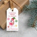 Editable Christmas Gift Tags, Tropical Christmas, Holiday Gift Tags ...