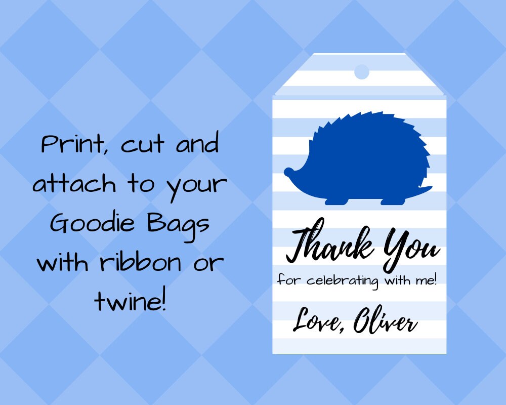 Editable Hedgehog Favor Tags, Boys Hedgehog Birthday Party, Kid's Party ...