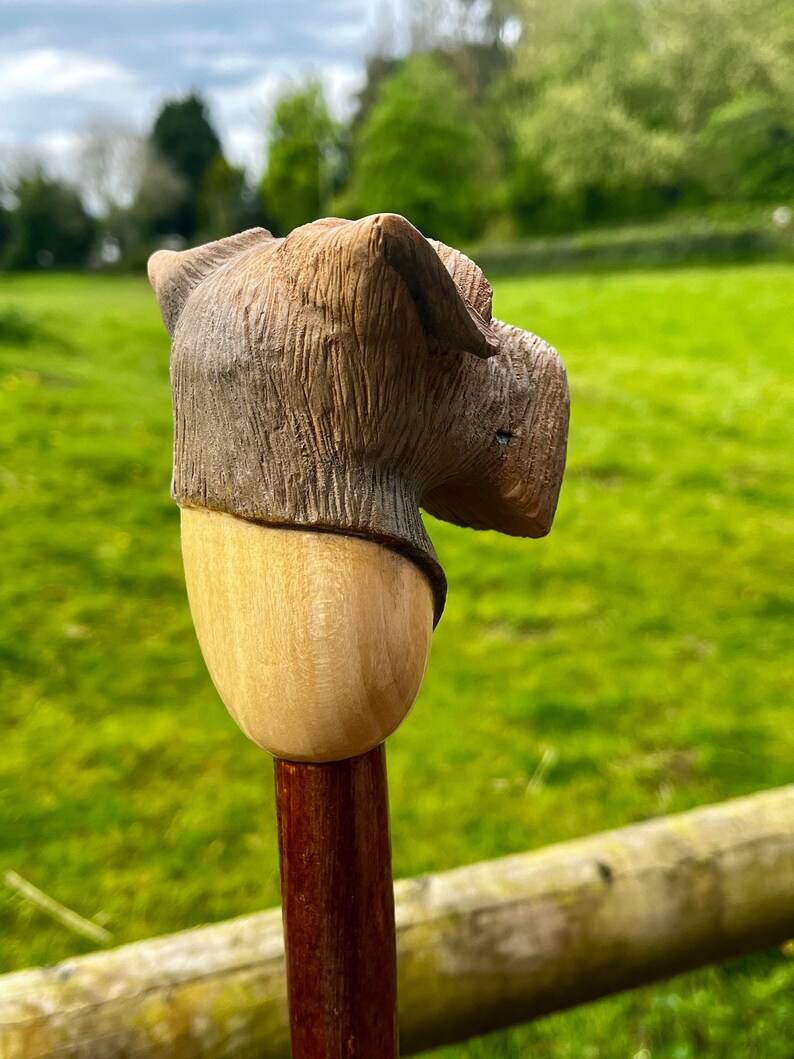 Hand Carved in Lime Airdale Head Country Walking Stick on Hazel Shank ...