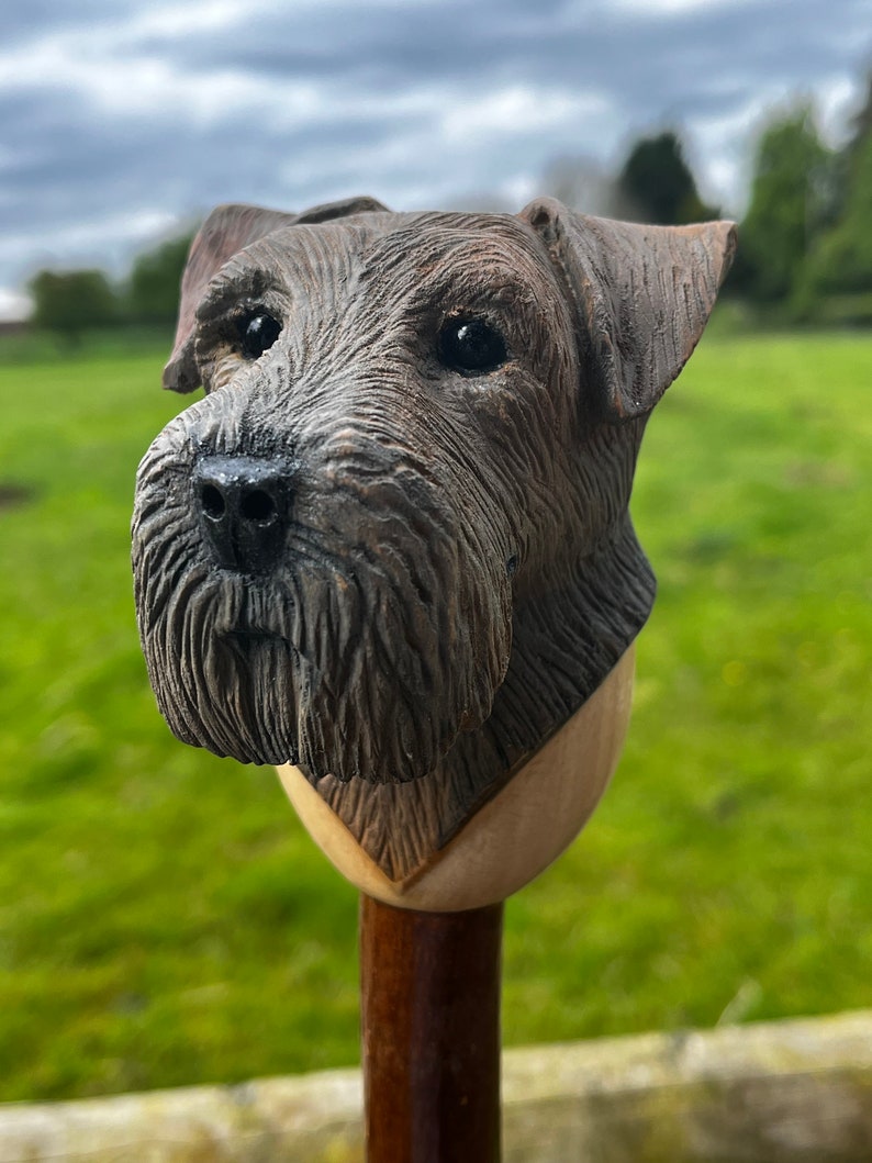 Hand Carved in Lime Airdale Head Country Walking Stick on Hazel Shank ...