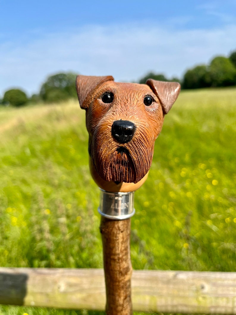 Hand Carved in Lime Airdale Head Country Walking Stick on Hazel Shank ...