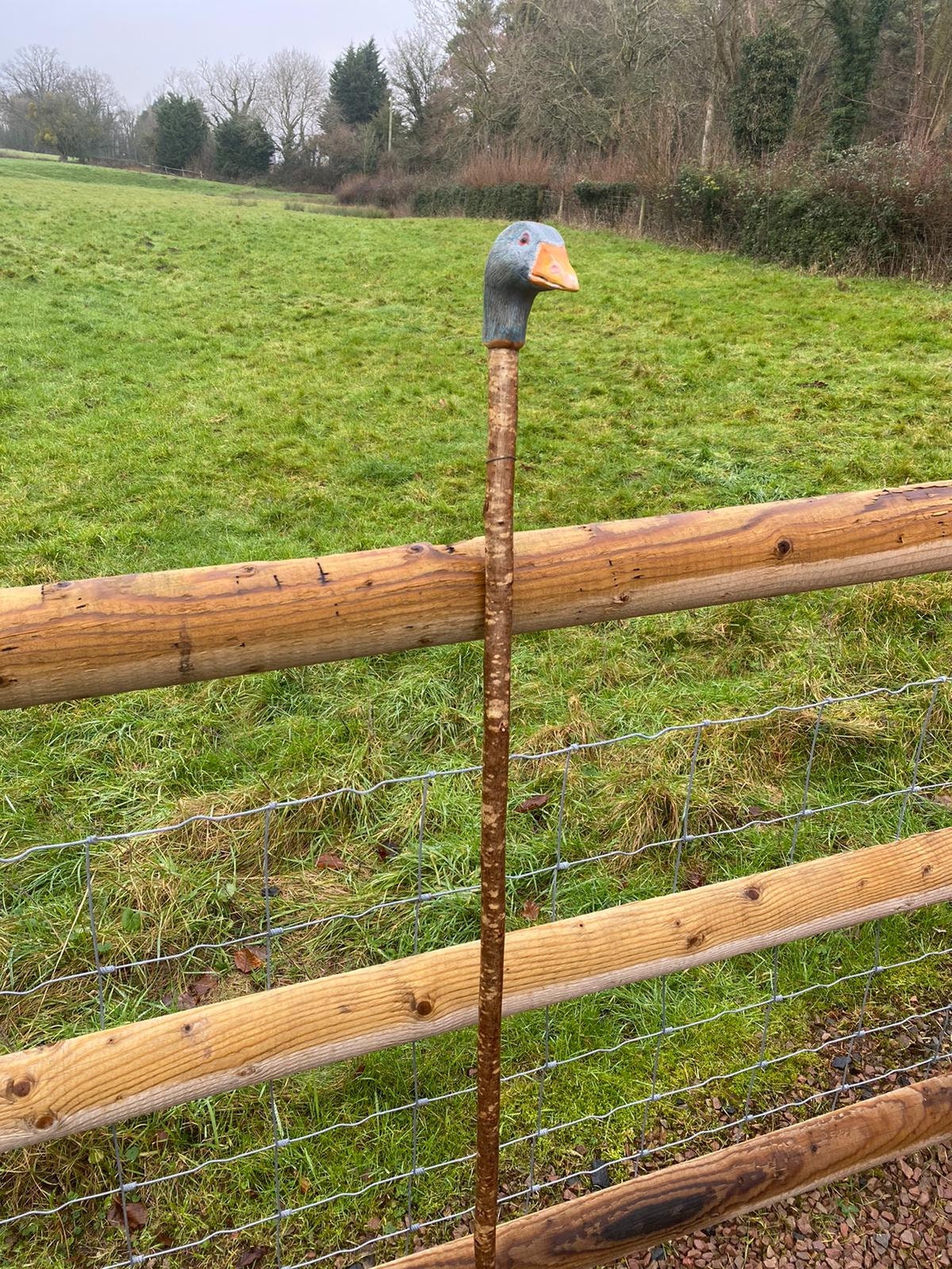 Hand Carved in Lime Greylag Goose Head Country Walking Stick on Hazel ...