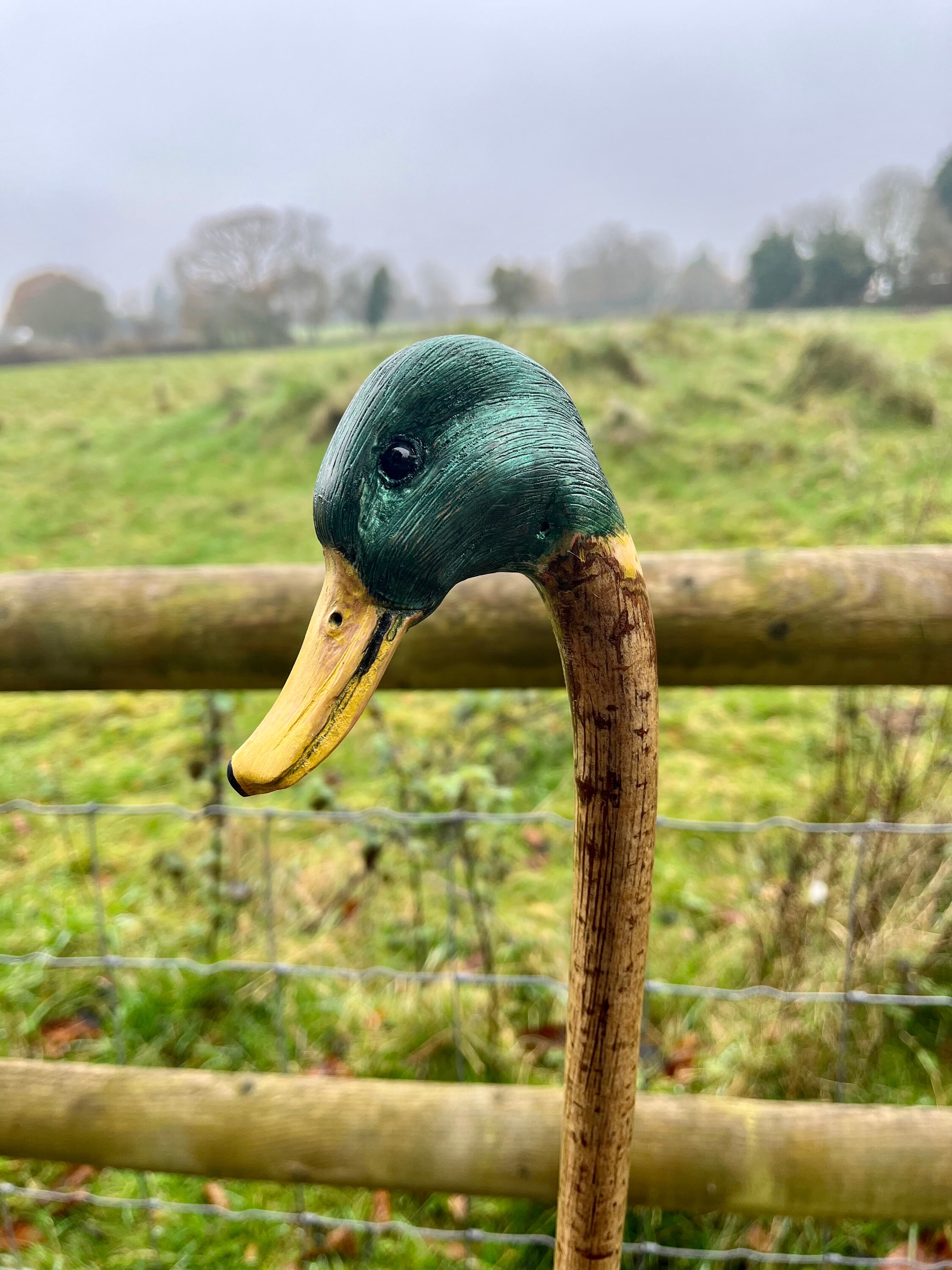 One Piece Duck Head, Hand Carved in Hazel Country Walking Stick - Etsy UK