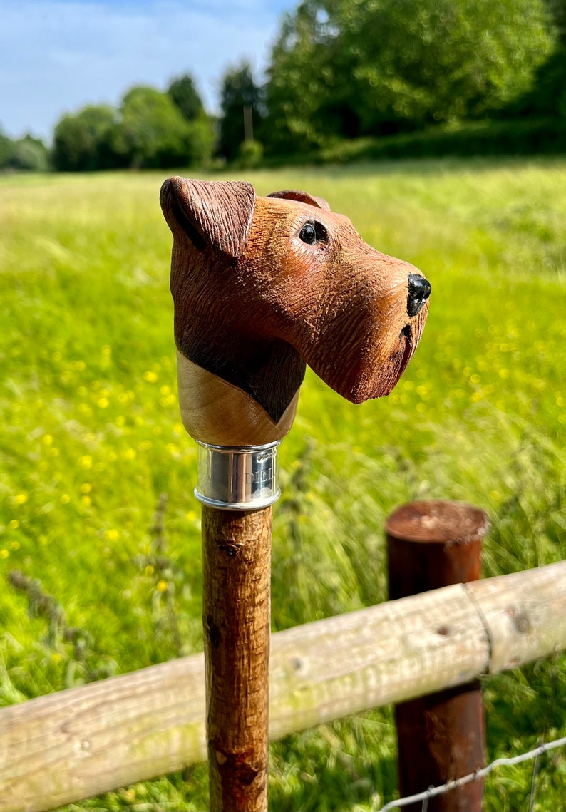 Hand Carved in Lime Airdale Head Country Walking Stick on Hazel Shank ...