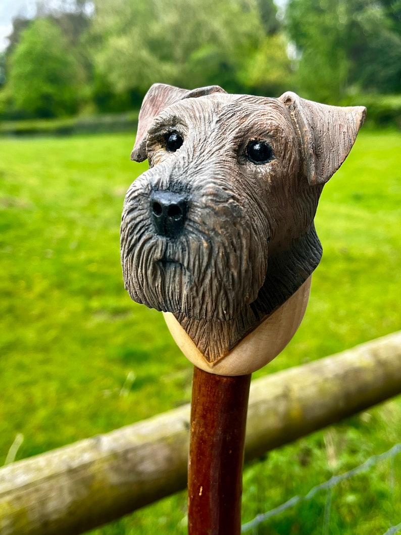Hand Carved in Lime Airdale Head Country Walking Stick on Hazel Shank ...