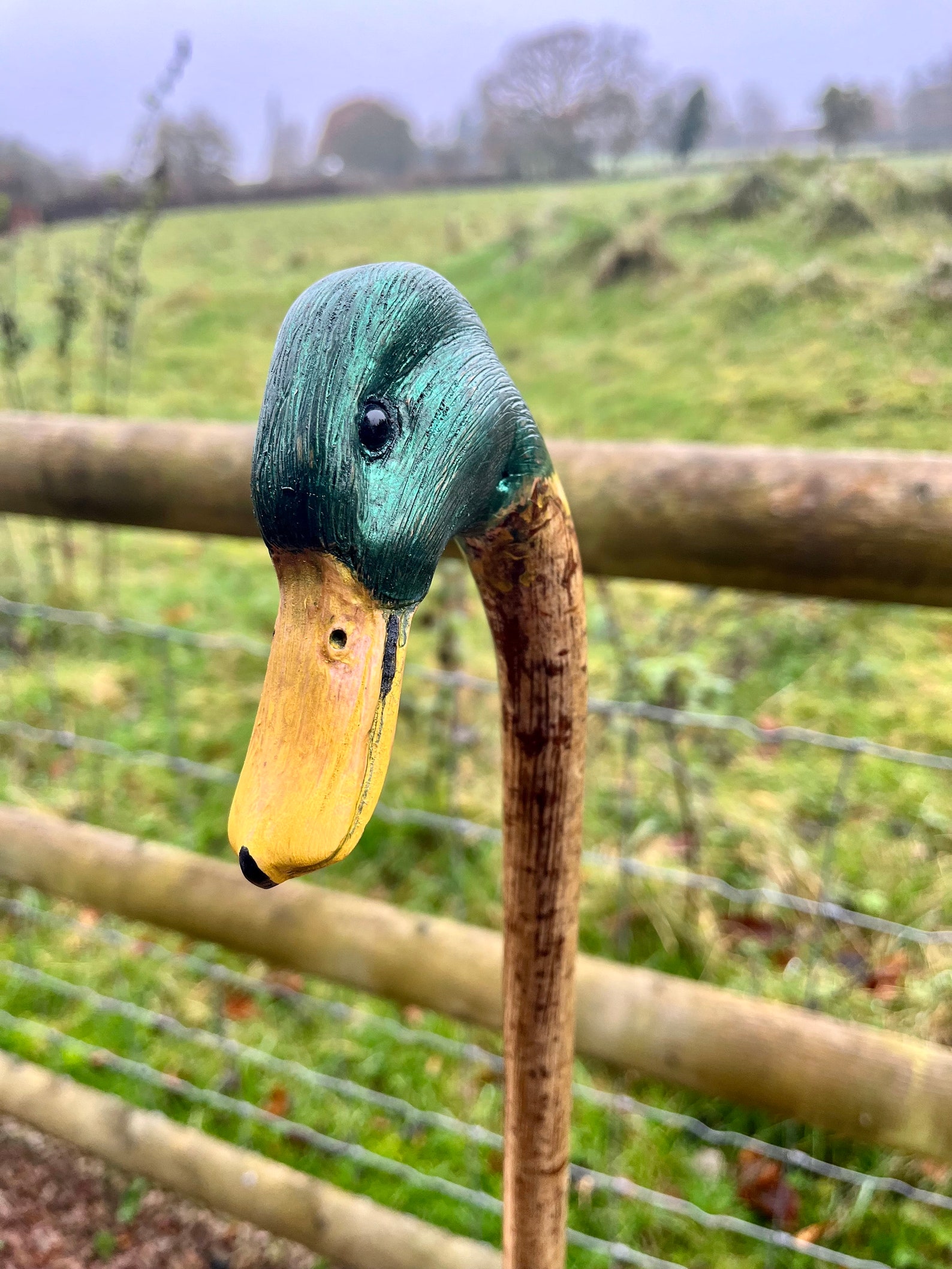 One Piece Duck Head, Hand Carved in Hazel Country Walking Stick - Etsy UK