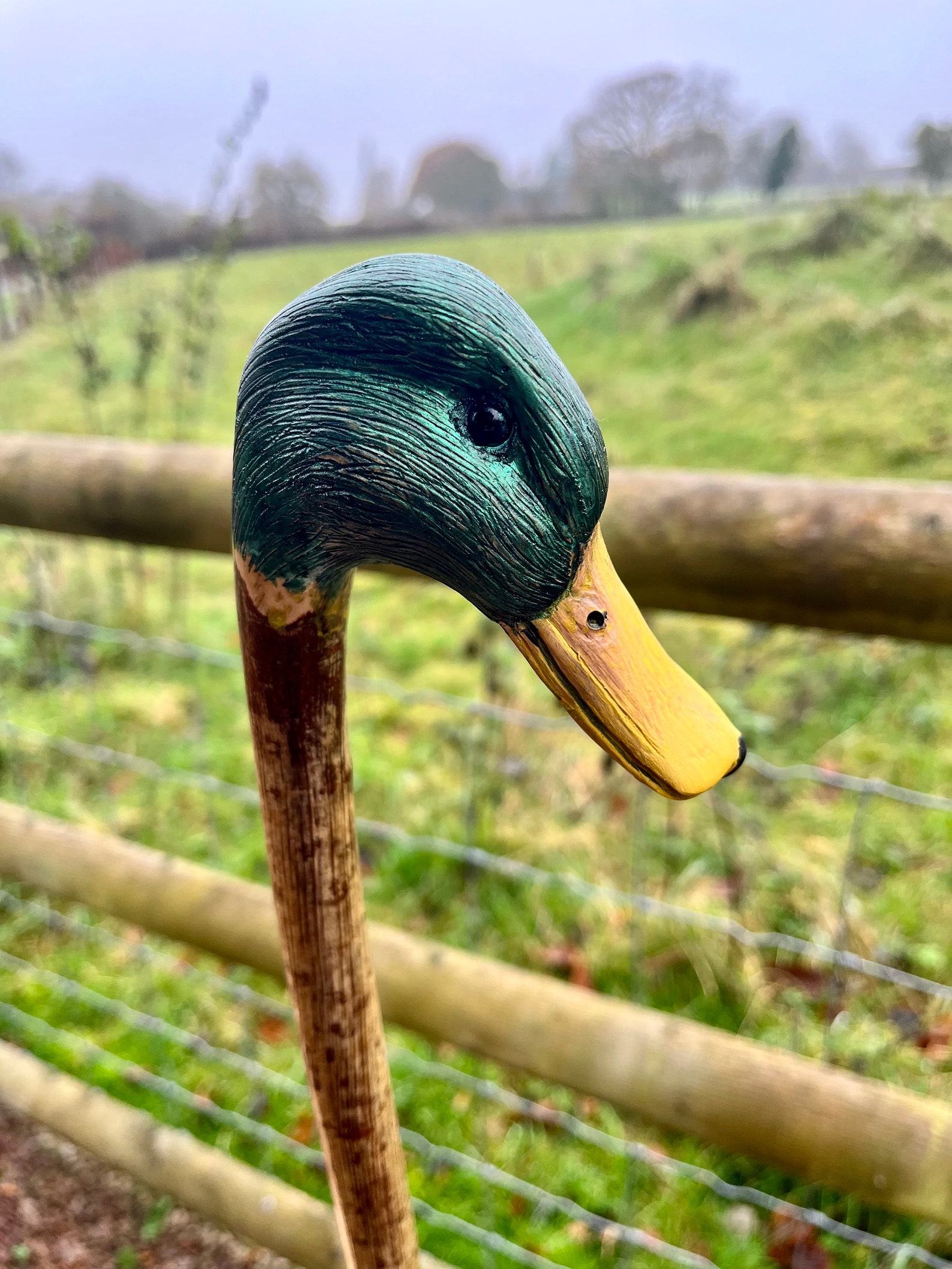 One Piece Duck Head, Hand Carved in Hazel Country Walking Stick - Etsy UK