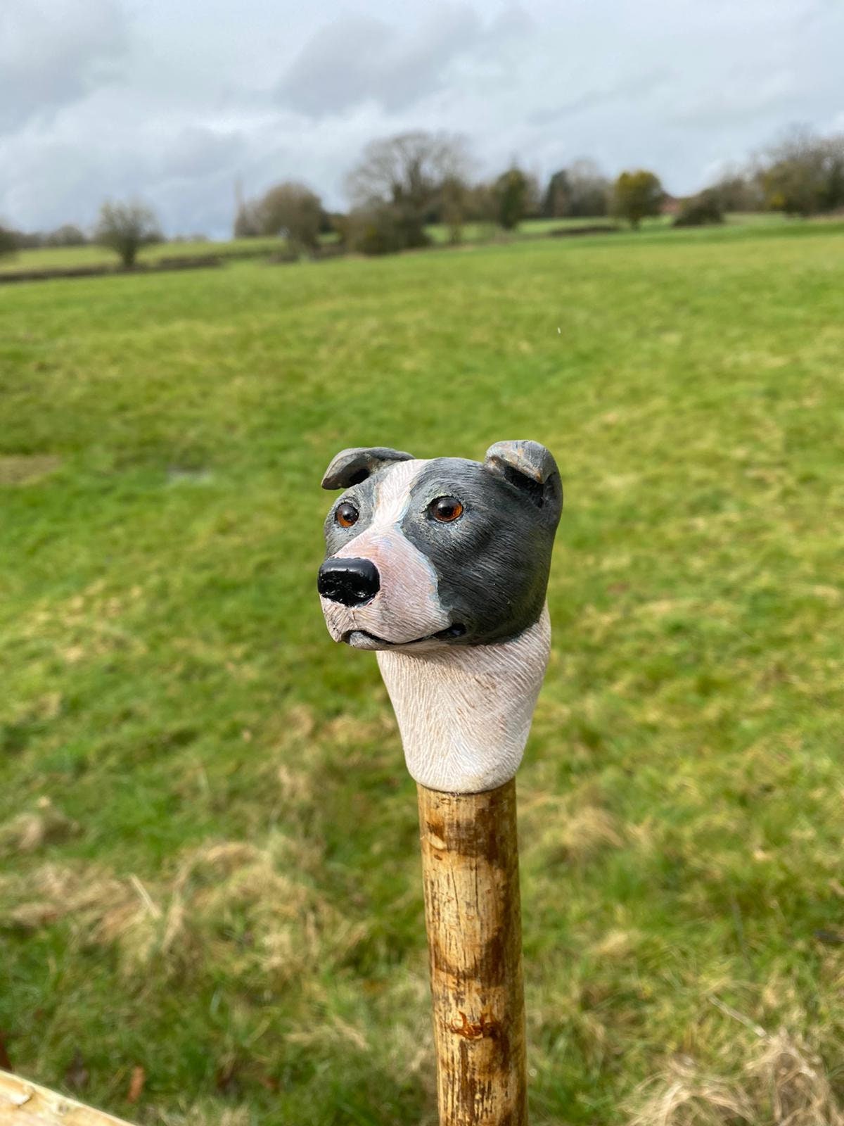Hand Carved in Lime Lurcher Head Country Walking Stick on Hazel Shank ...