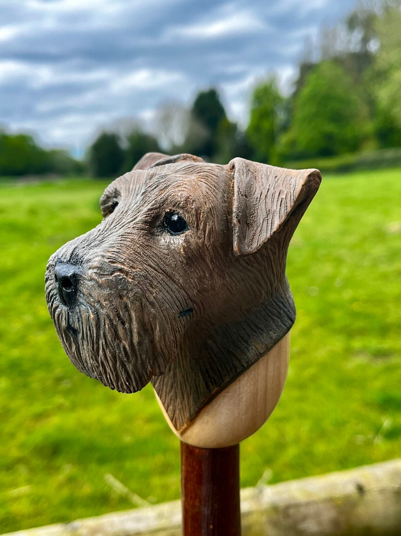 Hand Carved in Lime Airdale Head Country Walking Stick on Hazel Shank ...